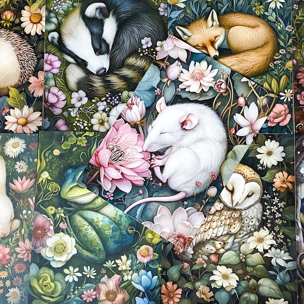 SLEEPING IN A BED OF FLOWERS- ANIMAL POSTCARD or STICKERS – The Kawaii ...